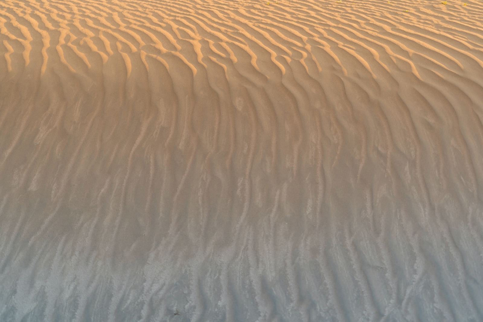 Curating a beautifully beige bedroom palette | Dreams Inspiration