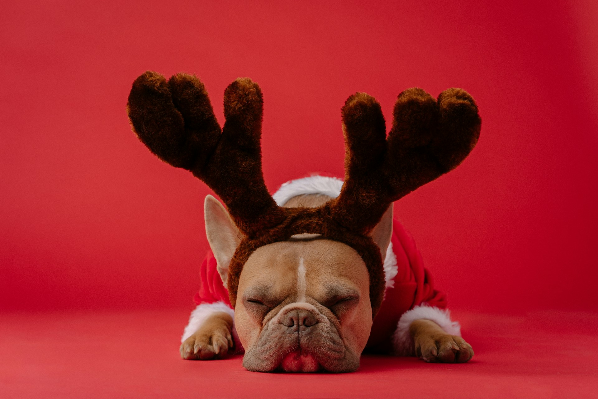 Santaphobia: How to Stop Your Child Being Scared of Santa