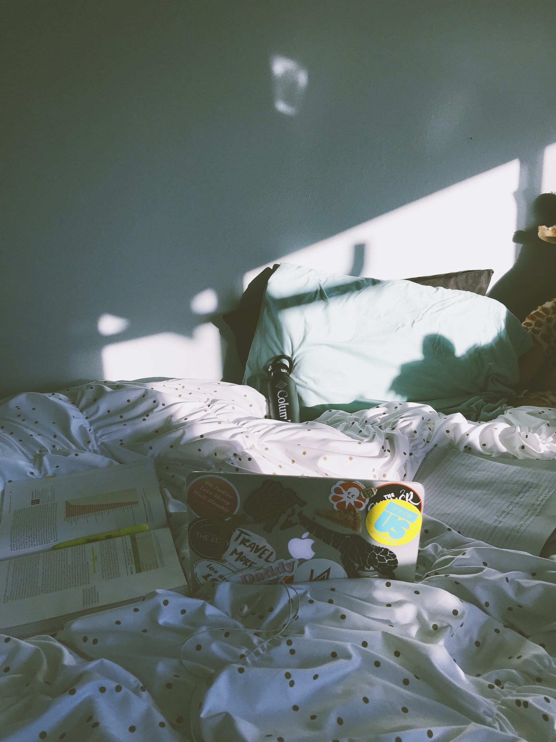 The Power of Cat Naps to Boost Your Well-Being